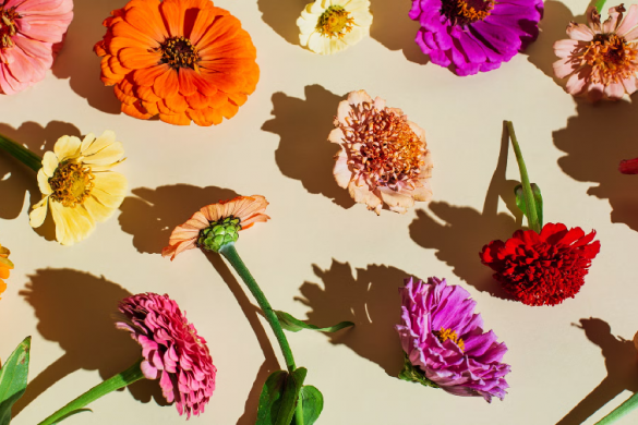 May Birth Flowers: Simple Meanings of Lily of the Valley and Hawthorn ...